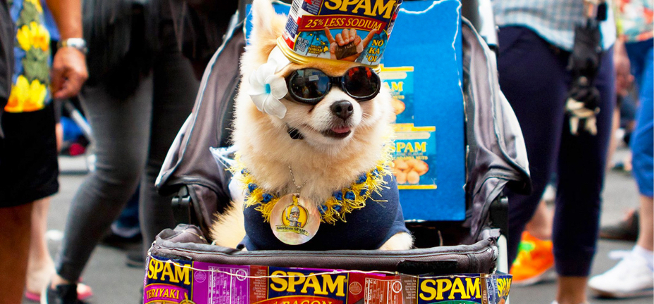 SPAM® Brand Life | SPAM® Brand